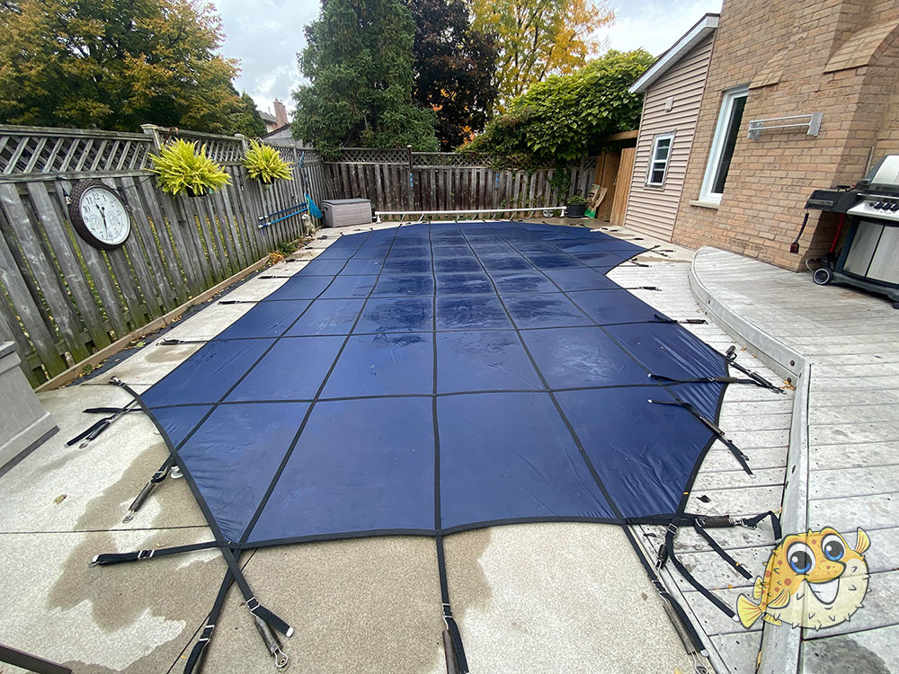 Winnipeg Pool Closing - Puddle Pool Services